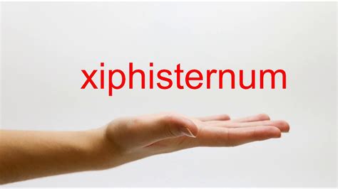 How To Pronounce Xiphisternum American English Youtube