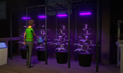 Schedule I Automation Guide How To Automate Mixing