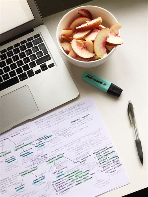 Pin De Adrianna Karkoszka Em Med‍⚕️⚗️ Studyblr Dicas De Estudo Estudos