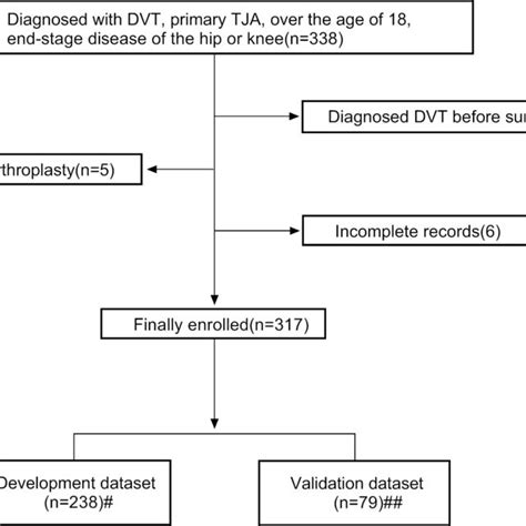 case screening and datasets partitioning flow diagram data from may download scientific