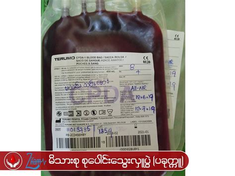 Zifam မိသားစု စုပေါင်းသွေးလှူပွဲ ပခုက္ကူ • Zifam Myanmar