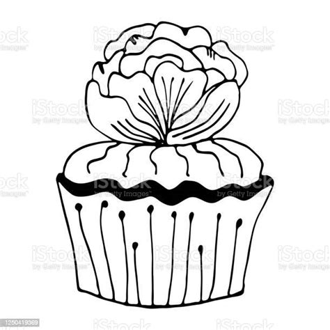식물과 벡터 컵 케이크 그림 흰색 배경에 손 그리기 음식 낙서 베이커리 로고 결혼 초대장 프린트 디자인라인 아트 귀여운에 대한 스톡 벡터 아트 및 기타 이미지 Istock