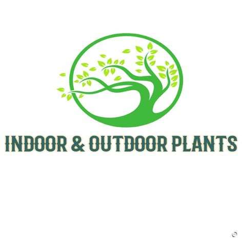 Indoor And Outdoor Plants ইনডোর এন্ড আউটডোর প্লান্টস