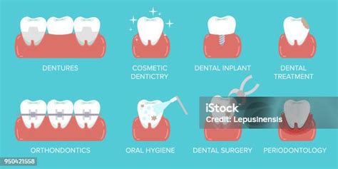 치과 서비스의 유형입니다 구강 및 치과 절차 평면 아이콘 Toothcare 벡터 일러스트입니다 평면 디자인 스타일 현대 벡터 일러스트 레이 션 개념입니다 건강 진단에 대한