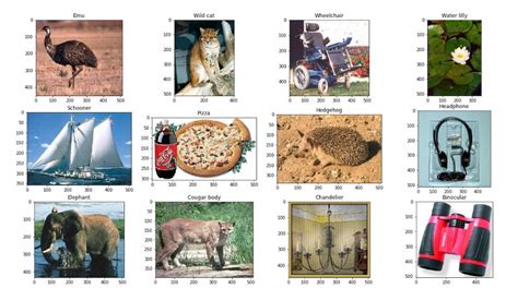 GitHub SusanPotters Cv Dl