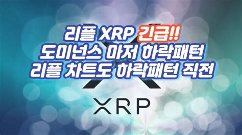 리플 Xrp 긴급 도미넌스 마저 하락패턴 리플 차트도 하락패턴 직전 Youtube