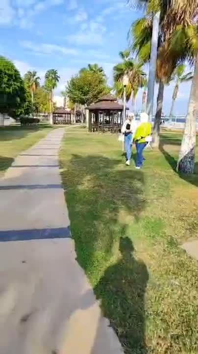 Houshang Abbassi On Linkedin سوریه در باغ سبز هوشنگ عباسی صادرات خدمات فنی مهندسی Houshang