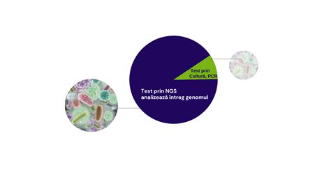 Microbiom Intestinal Digest Test