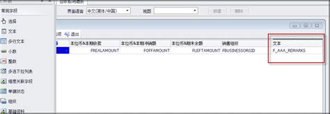 报表二次开发添加自定义字段的指导方案 Csdn博客