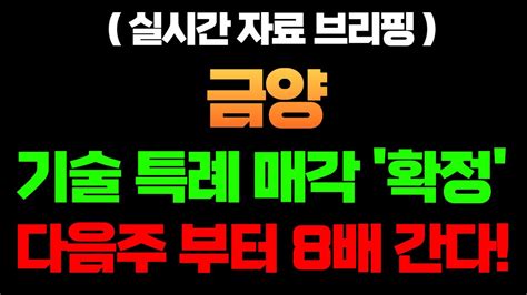 금양 주가 전망 기술 특례 매각 확정 다음주 부터 8배 간다 Youtube