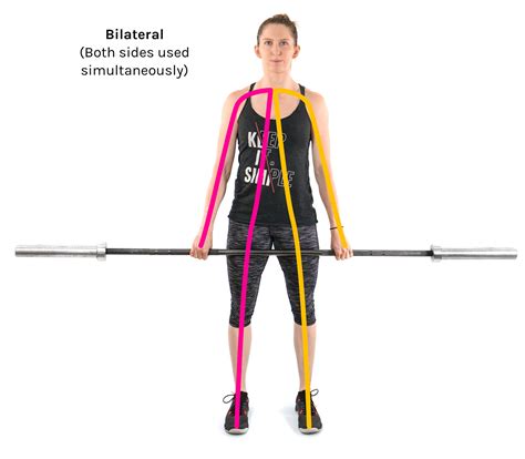 Bilateral And Unilateral Tom Morrison