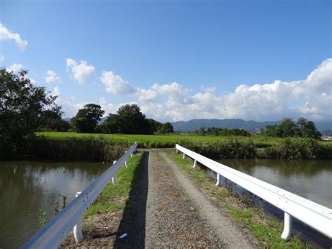 姉川城