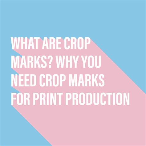 Crop Marks What Are They And Why Do You Need Them