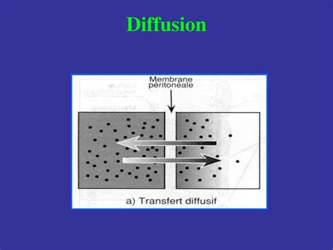 Ppt La Dialyse Péritonéale Powerpoint Presentation Free Download