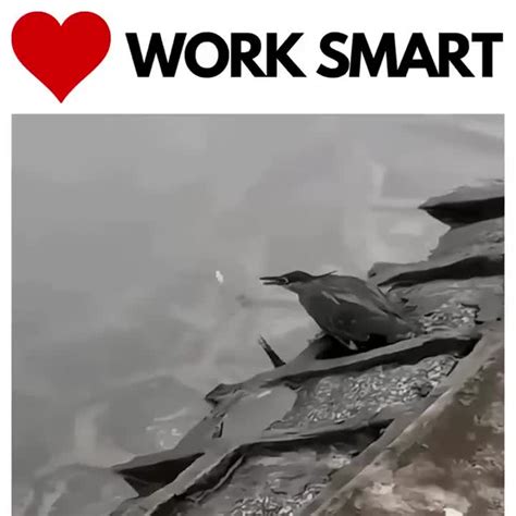 Sikander Khan On Linkedin Working Smart Involves Optimizing Your