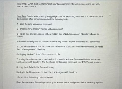 Solved Step One Lunch The Bash Terminal Of Ubuntu Container Chegg