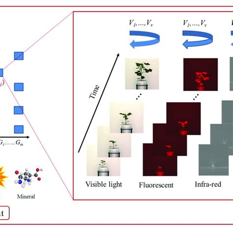 High Throughput Plant Phenotyping Platform Download Scientific Diagram