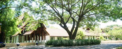 About Us The Hills Rehab Thailand