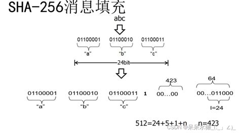 【密码学复习】第六讲 Hash函数和mac（二）mac的存在性伪造 Csdn博客