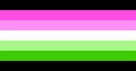 Sex Pervert Arospec Flag By Striderqueer On Deviantart