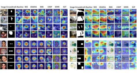 Selected Explanation Visualization Results On Four Vision Datasets Download Scientific Diagram