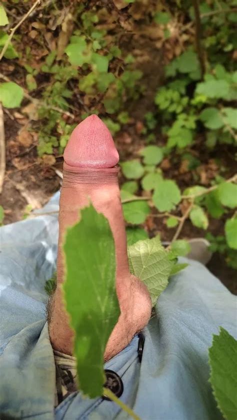 Kissing The Tree With My Dick 24 Nude Pics Xhamster