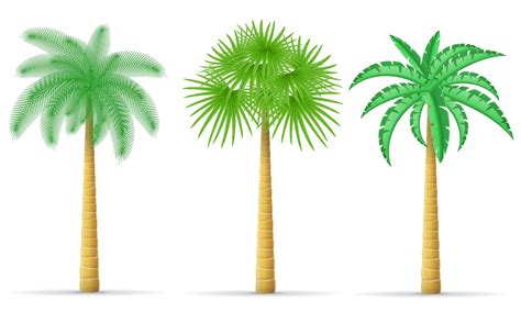 Palm Tree Vector Illustration 488693 Vector Art At Vecteezy