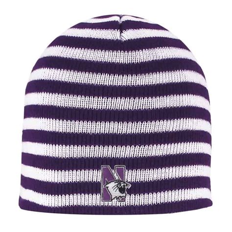 Northwestern University Wildcats Adult Purple White Blizzard Micro