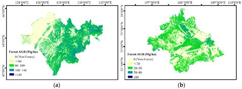 Improving Forest Above Ground Biomass Estimation By Integrating Individual Machine Learning Models