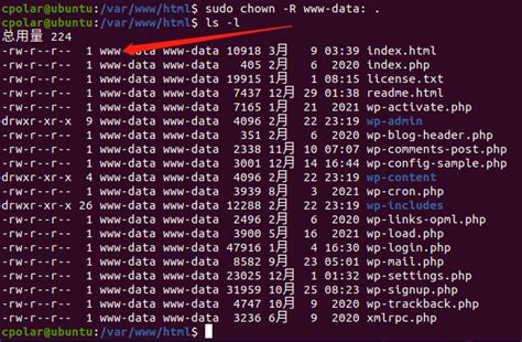 在ubuntu上搭建网站：安装wordpress 1 8 cpolar 极点云