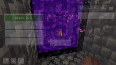 Bug Suffocation In Nether Portal R Minecraft