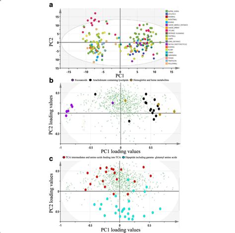 Pca Analysis Of Athlete Metabolomics Data A A Score Plot Of Pc1 And
