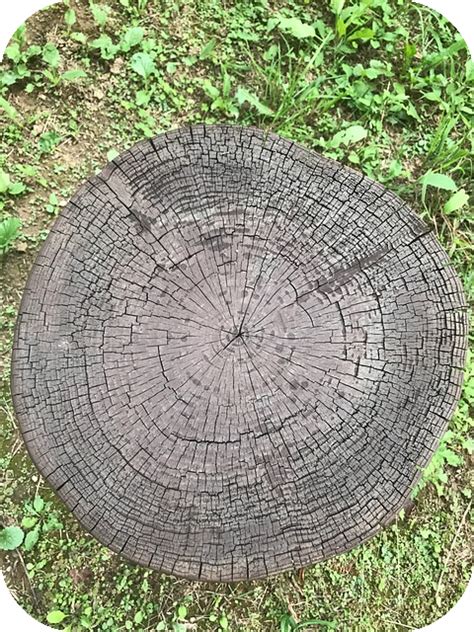 유진로봇주가 상승 가능성은