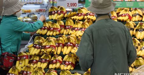 바나나와 파인애플 수입액 사상 최대