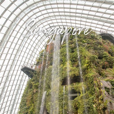 싱가포르 여행 가볼만한곳 가든스바이더베이 And 슈퍼트리쇼 시간 🌿 네이버 블로그