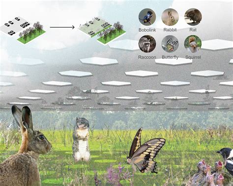 Interfaces Rethinking The Boundaries Ilasla