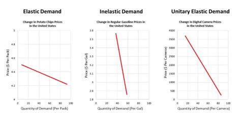 Elasticity Coefficient Explanation Learnbusinessconcepts
