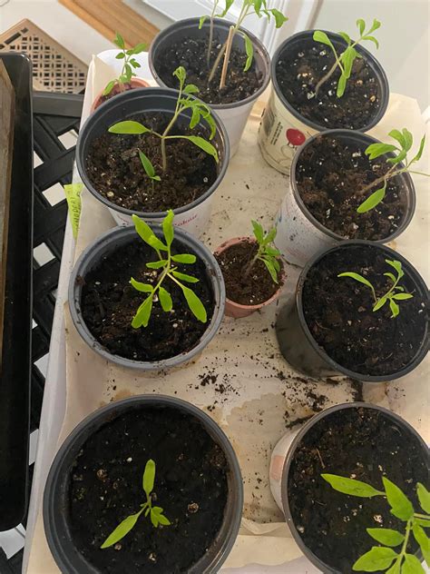 Excel Tax Service Updated Their Cover Excel Tax Service