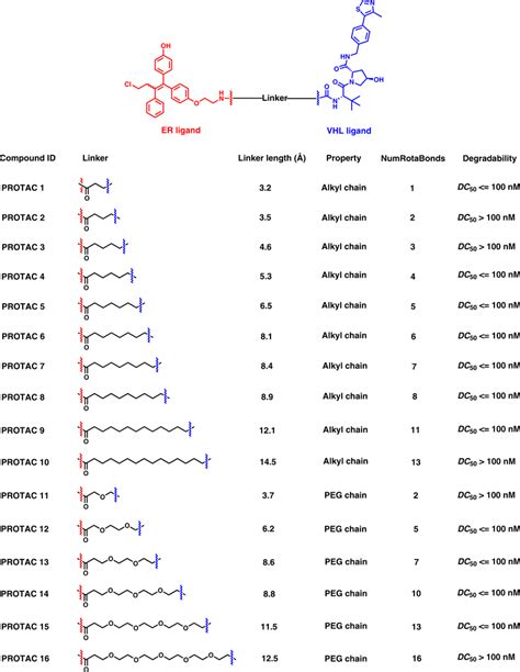 Chemical Structures And Properties Of 16 Protacs In Our Experimental