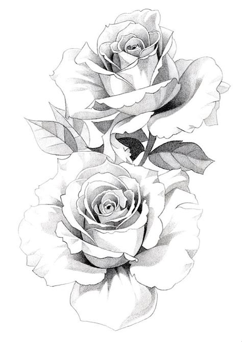 Rose Roses Flower Floral Botanical Tattoo Pencil Drawing Art Print Tatuagem Realista De Rosa