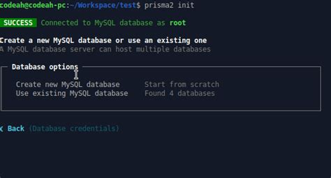 CLI Prisma Init Back Option Doesn T Work In Multiple Screens Issue Prisma