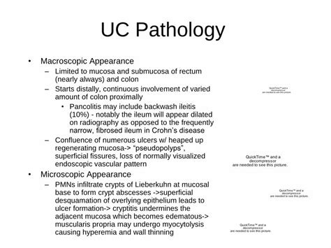 Pdf Ibd Ulcerative Colitis Crohns Disease Dokumen Tips