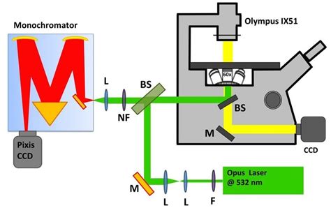Schematic Of Our Raman Microscope System Symbols Legend F Filter Download Scientific Diagram