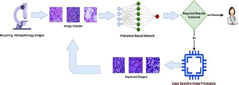 Figure 1 From Malignancy Detection In Lung And Colon Histopathology Images Using Transfer