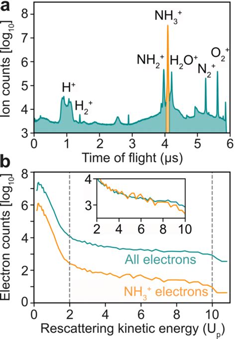 Electron Ion Coincidence Detection A Ion Time Of Flight Tof Download Scientific Diagram
