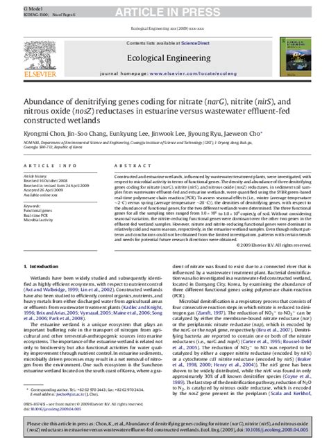 Pdf Abundance Of Denitrifying Genes Coding For Nitrate Narg Nitrite Nirs And Nitrous