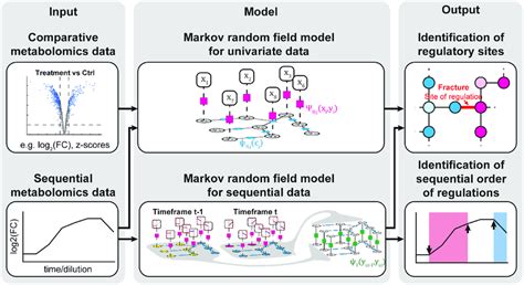 Overview Of The Mns Toolbox The Mns Algorithm Enables To Predict Sites Download Scientific