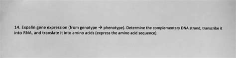 SOLVED Expalin Gene Expression From Genotvpe Phenotype Determine The Complementary DNA
