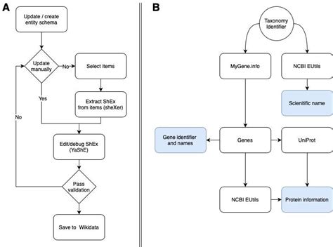 Flow Diagram For Entity Schema Development And The Executable