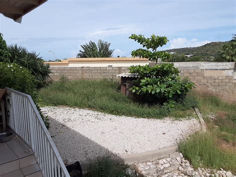 How And When To Prune Almond Trees Gardeners Path